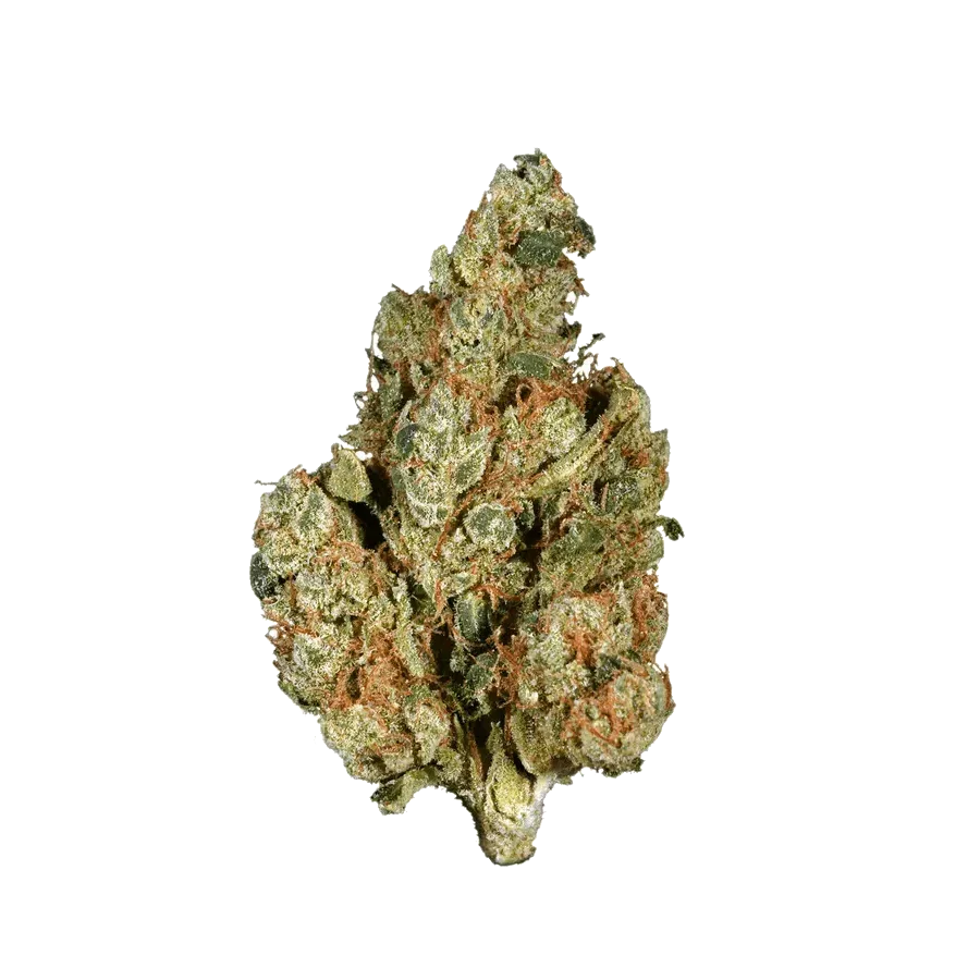 Indica THCA Flower | Premium Indica Strains Venera USA – venerafactory